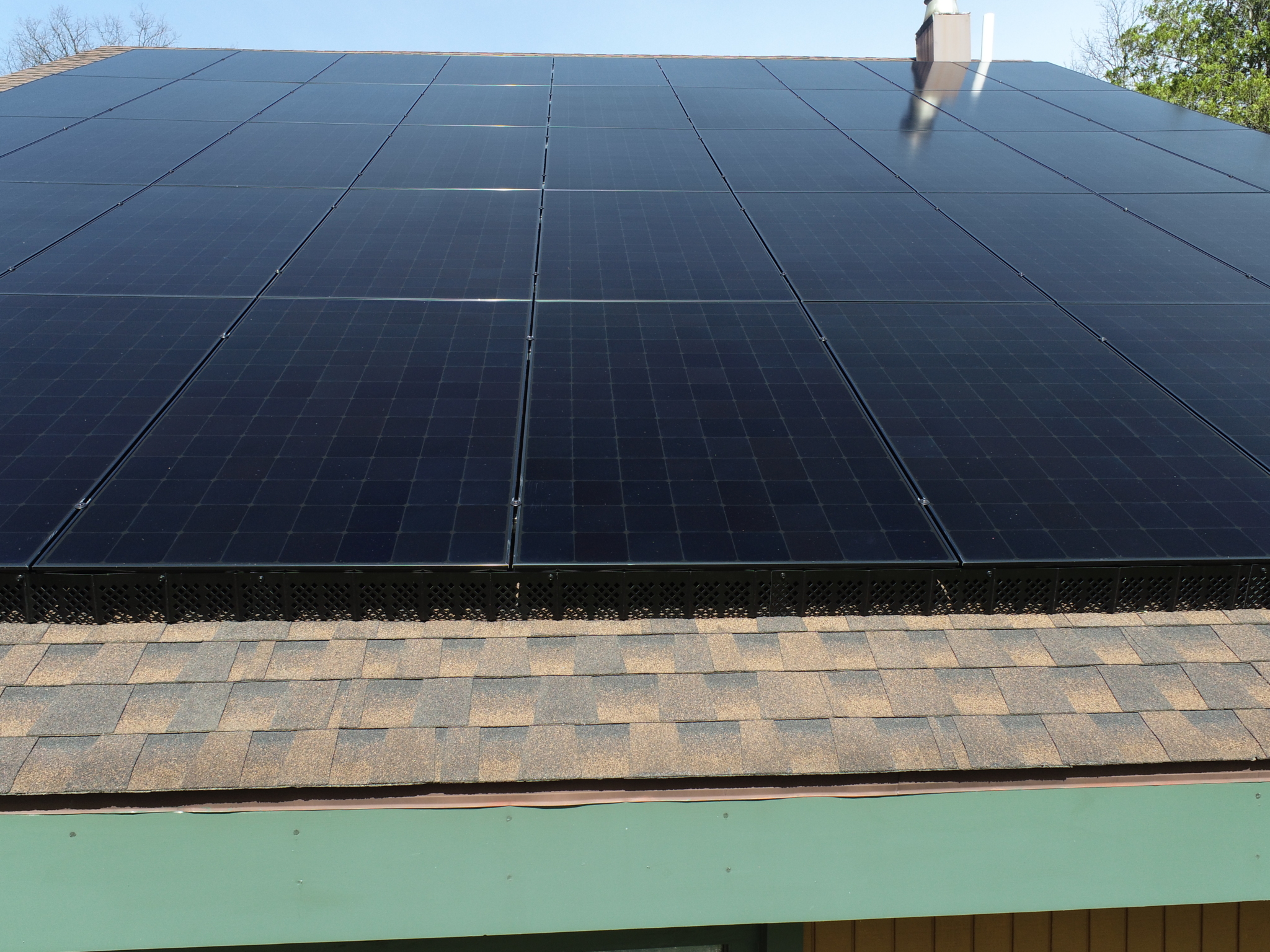 Pest Guards for Solar Panels | Public Service Solar